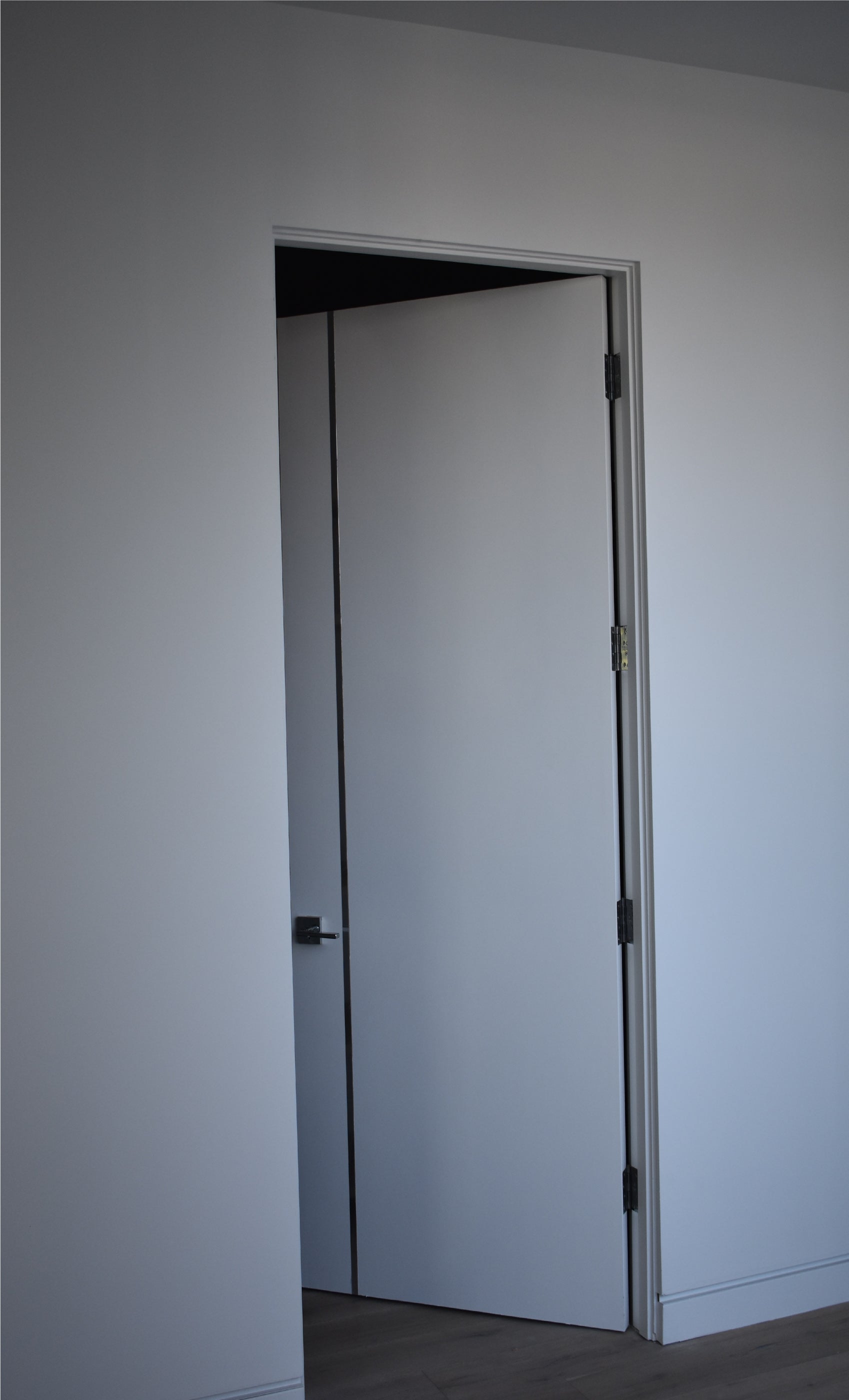 Axel - Interior Solid Core Primed White Door with Solid Aluminum Inlay ...
